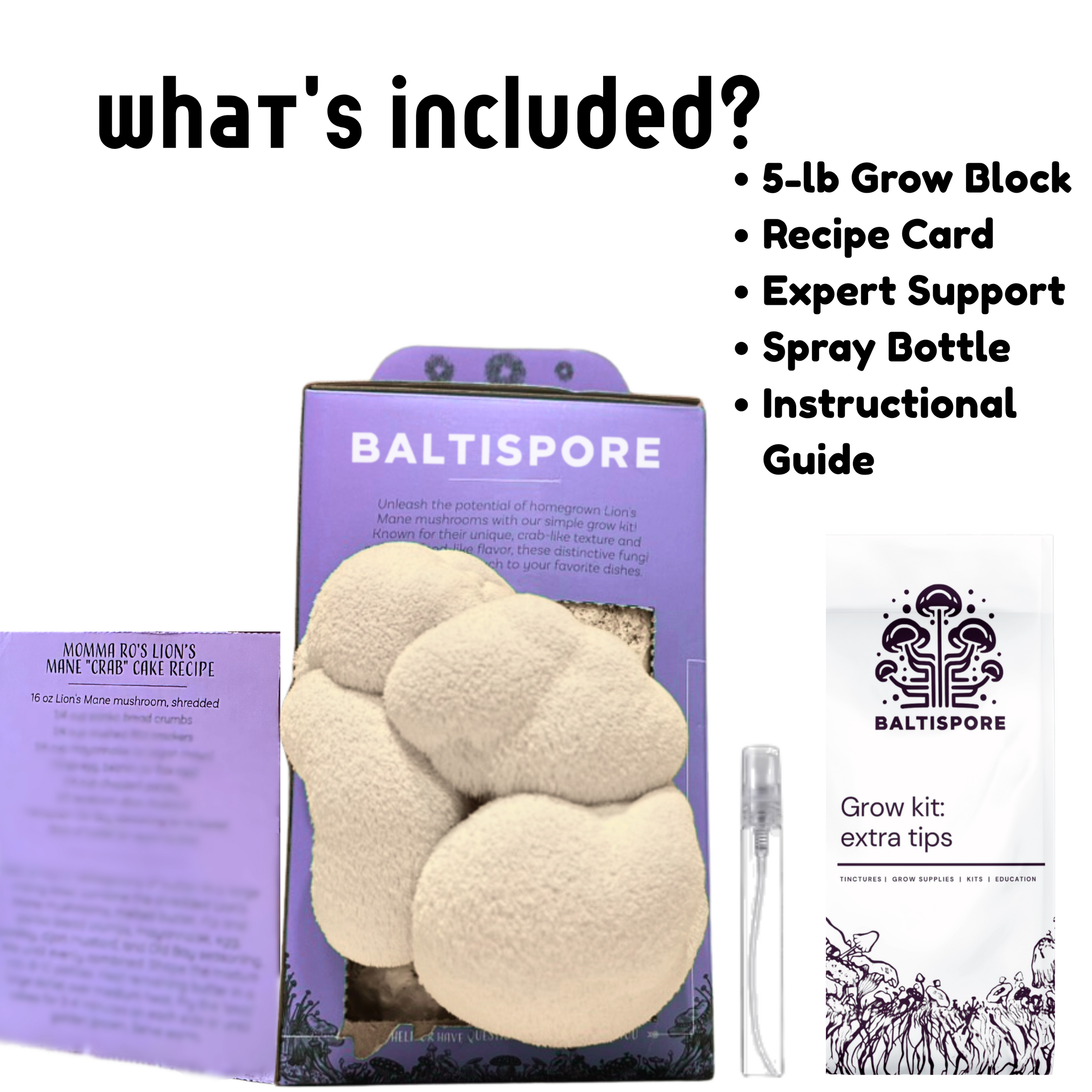 Lion’s Mane Mushroom Grow Kit | Easy Home Mushroom Growing | BaltiSpore